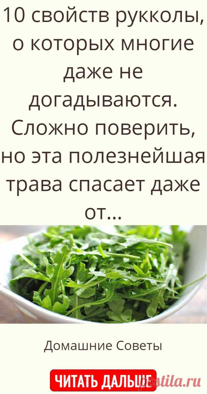 10 свойств рукколы, о которых многие даже не догадываются. Сложно повер ...