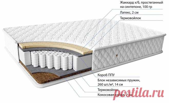 Матрас двусторонней жесткости: мягкий/жесткий Ant – высота 19 см купить ...