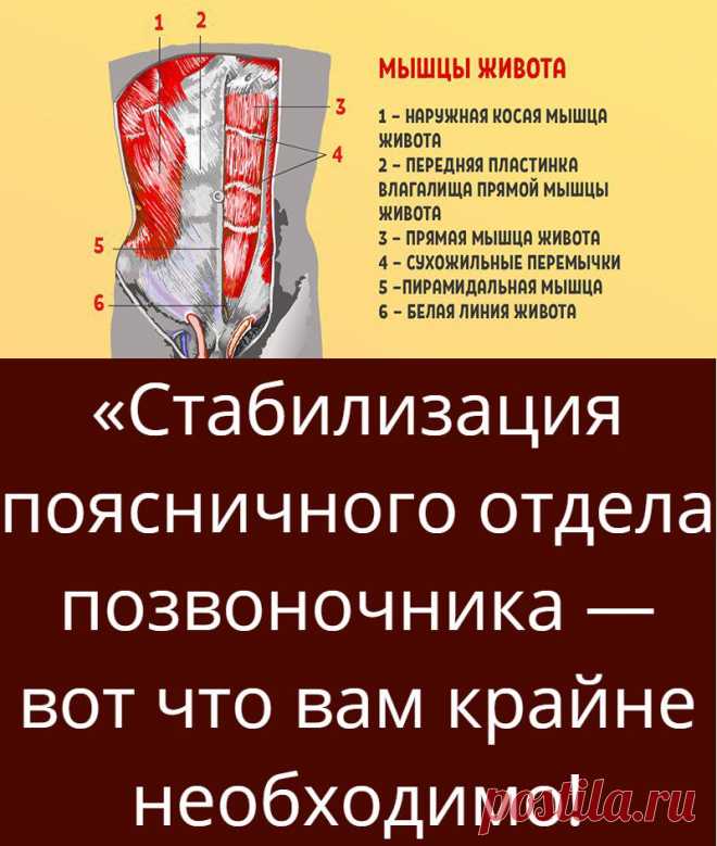 «Стабилизация поясничного отдела позвоночника — вот что вам крайне н ...