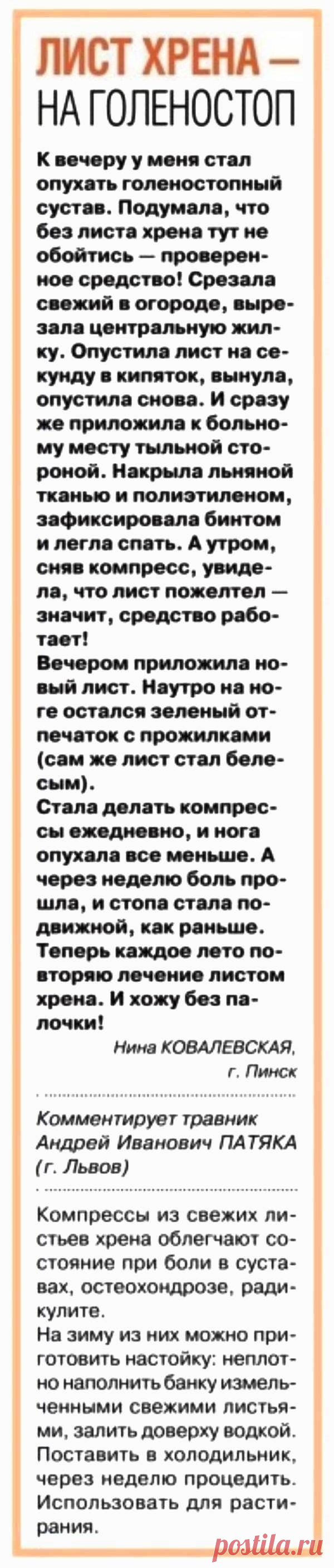 Лист хрена на голеностоп БОЛЯЧКИ СУСТАВЫ КОСТИ МЫШЦЫ Постила