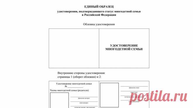 Российские власти утвердили единый образец удостоверения многодетно ...