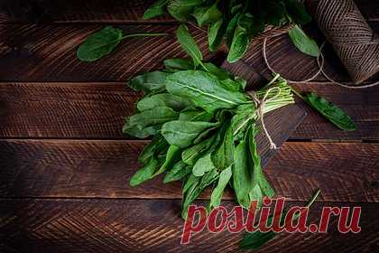 Россиянам назвали защищающий от импотенции продукт | Новости | Постила